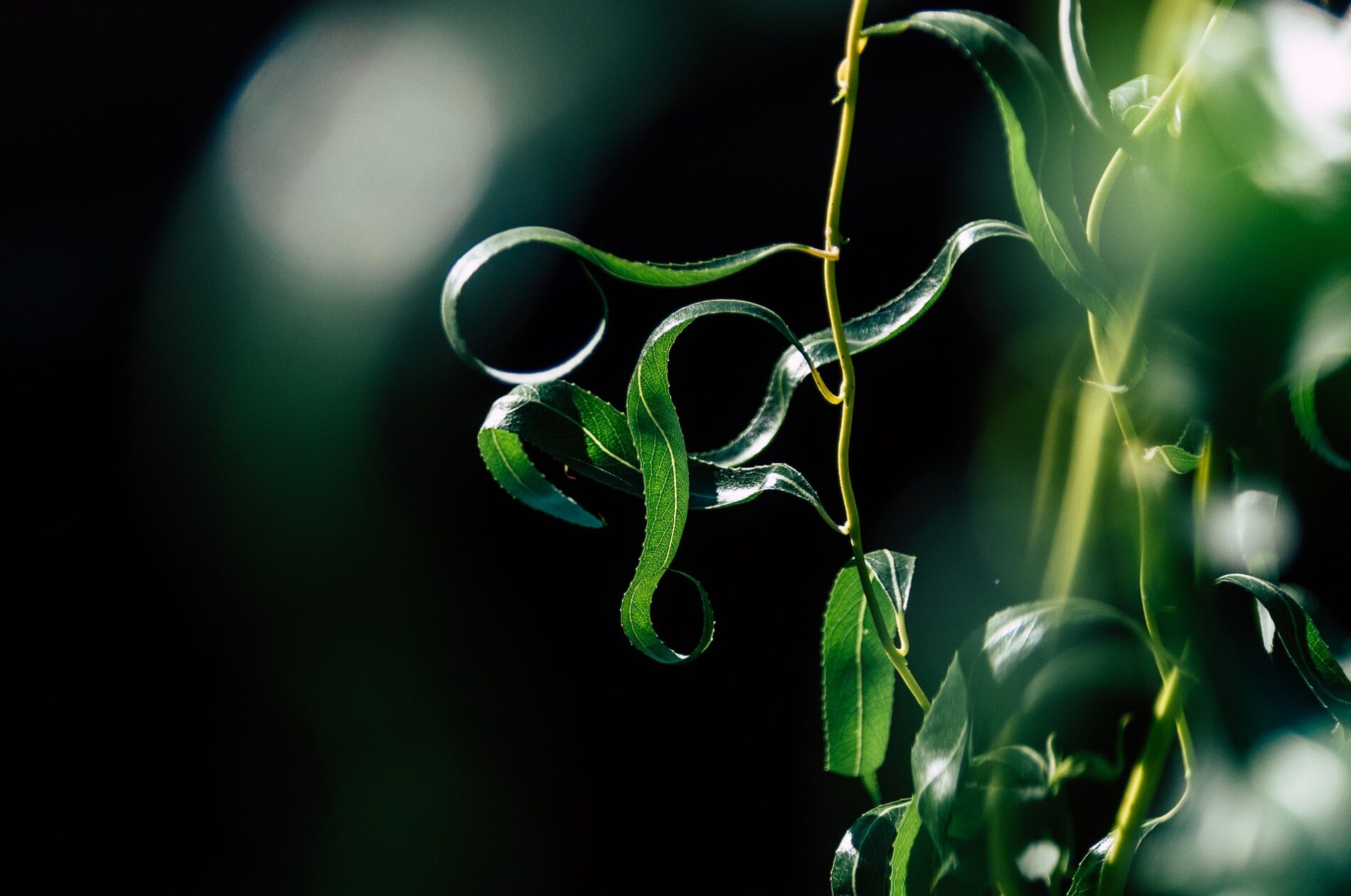 Programme de travail de la CRSA 2022-2026 | CRSA